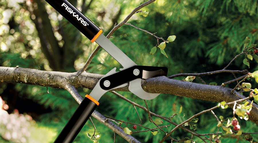 Best Lopper Reviews 2019 | Buyers Guide