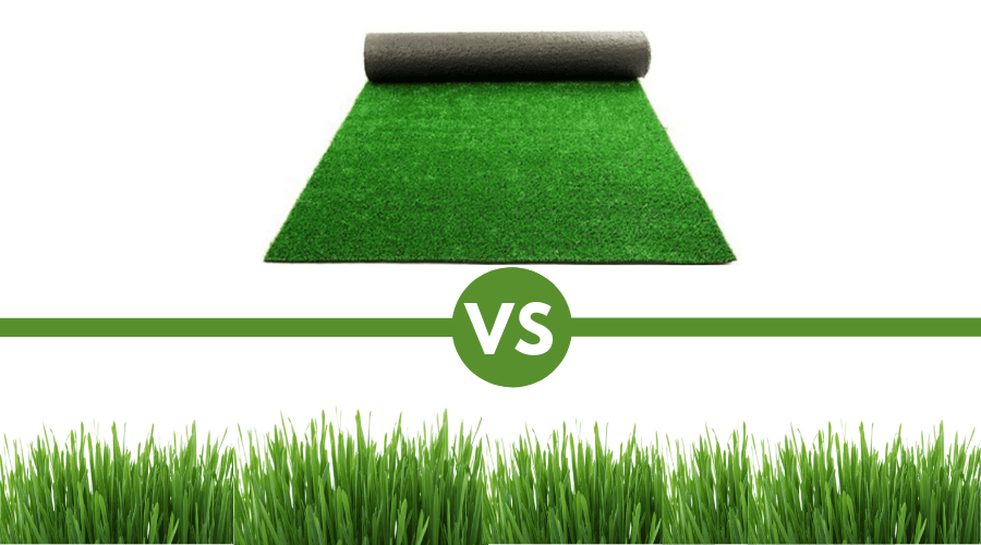 Artificial vs Real Grass: What Are The Best Choices For Your Yard?
