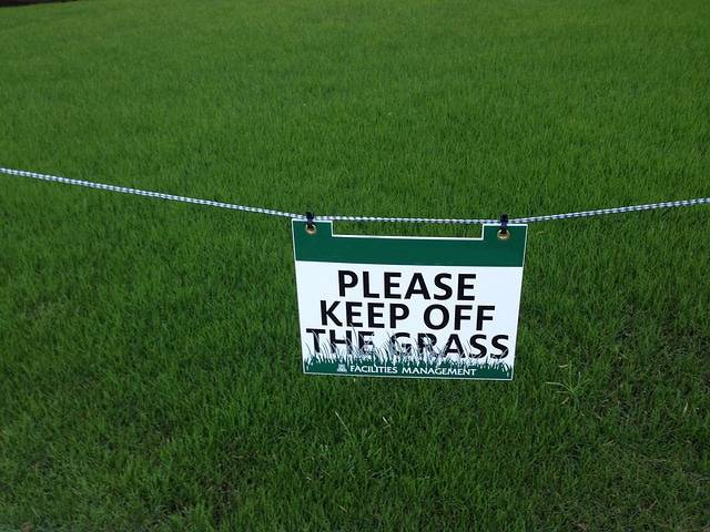 Winter Lawn Care Tips To Keep Your Lawn Healthy And Green