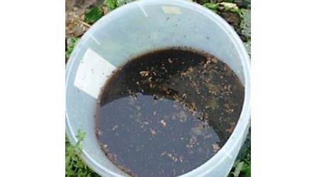 Compost vs Manure: The Best For Your Soil Health
