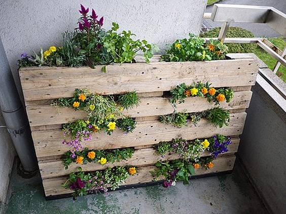 31 Best DIY Garden Pallet Projects