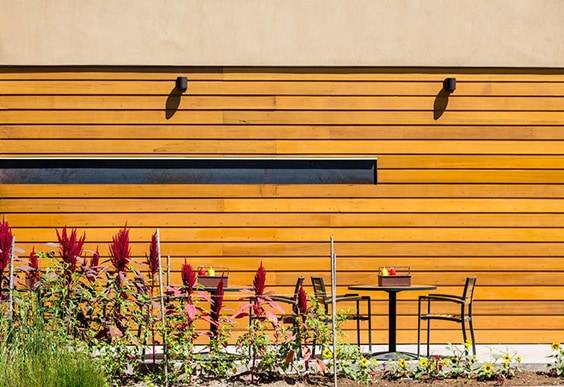 43 Landscaping Timber Ideas You Need to Find Room For