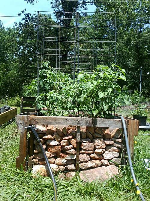 31 Best DIY Garden Pallet Projects