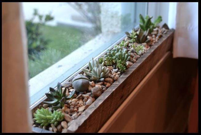 45 Amazing Indoor Garden Ideas: #27 is So Easy!