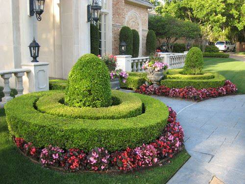 37 Best Flower Hedge Ideas: #23 is So Easy!