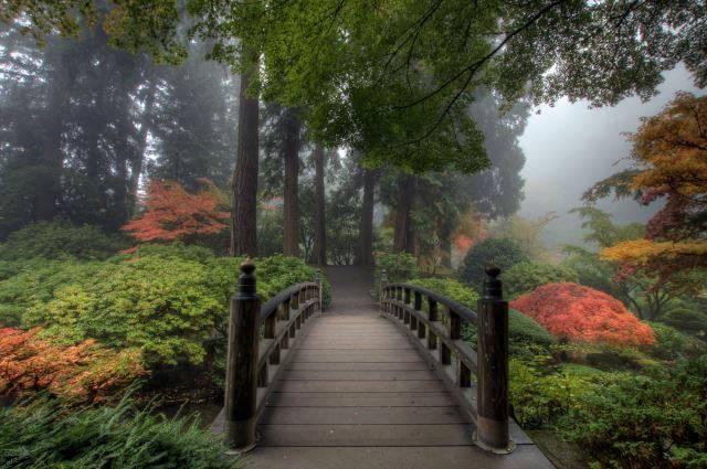 55 Backyard Bridge Ideas: Tranquil Perspective for Your Landscape