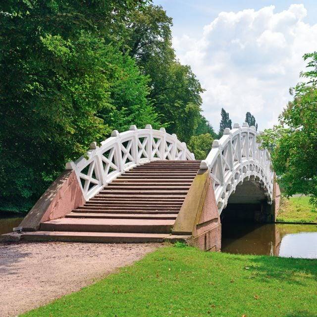 55 Backyard Bridge Ideas: Tranquil Perspective for Your Landscape
