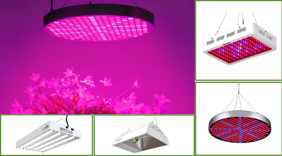 Best Grow Light Reviews 2019