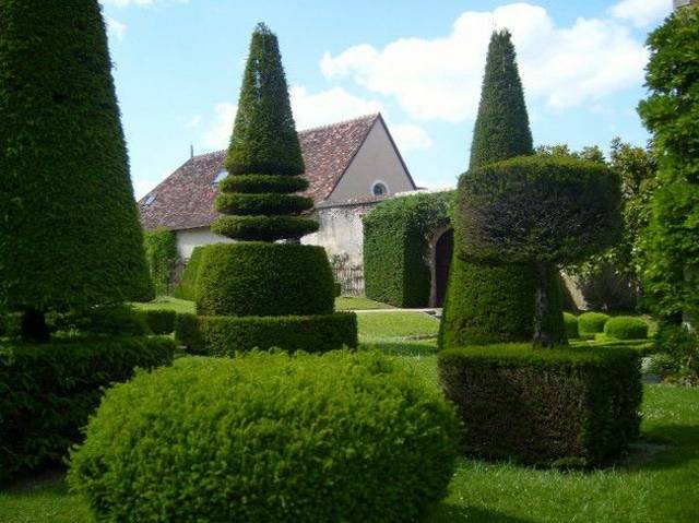 63 of The Best Landscape Hedge Ideas: #39 is Awesome!