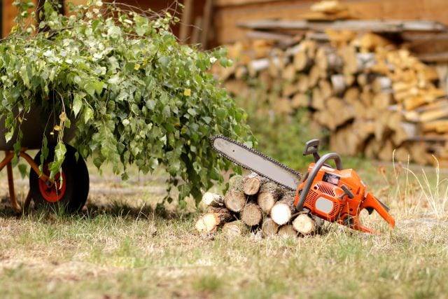 How A Chainsaw Works