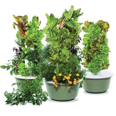 What is a Tower Garden?