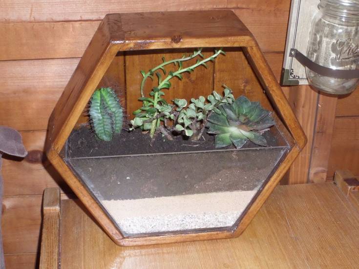 66 of the Best Small Terrarium Ideas