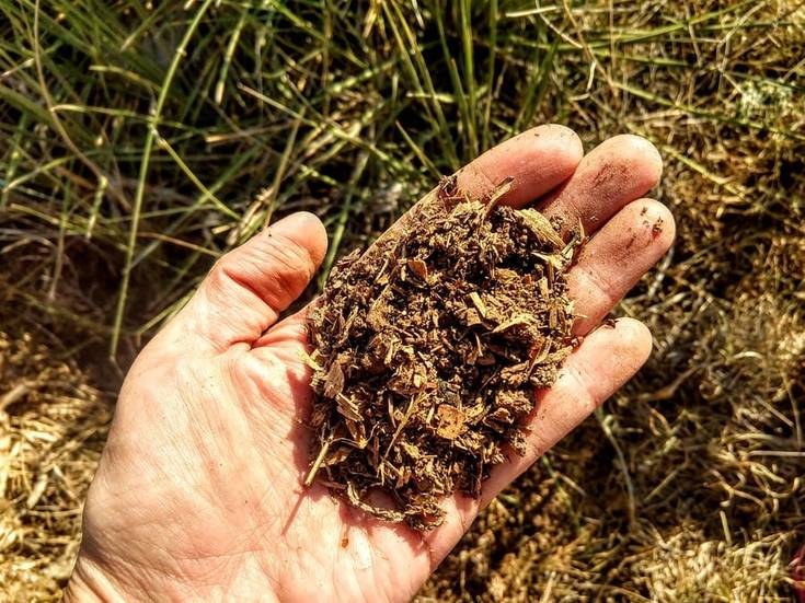 How to Make Compost: Black Gold for Your Own Garden