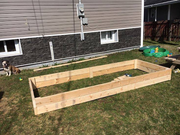 How to Build And Care for a Raised Garden Bed