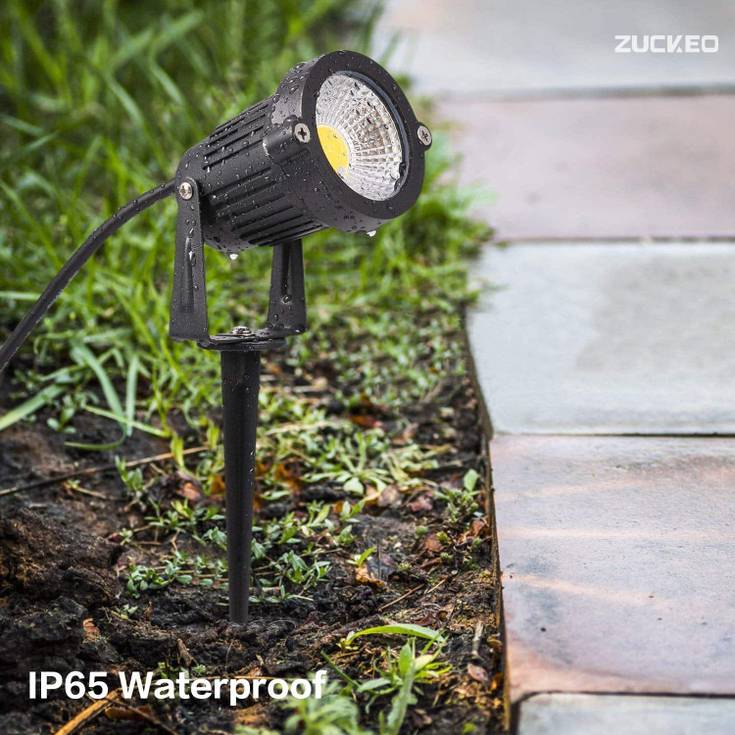 Solar vs Low Voltage Landscape Lighting: Which is Best For You?