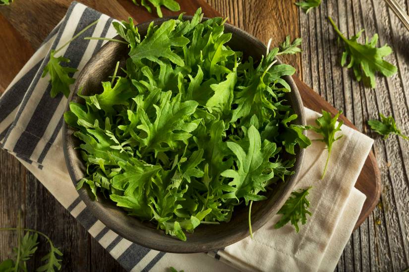 All About Lettuce: Varieties and Interesting Facts