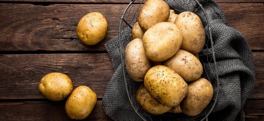 All About Potatoes: Fun Facts for All Ages