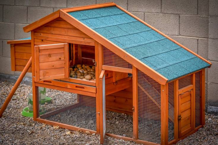 Types of Chicken Coops