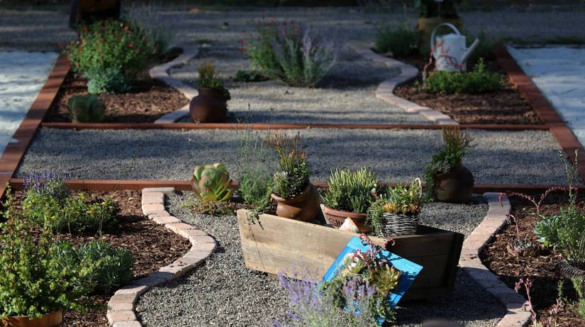 Xeriscaping: A Guide for Beginners
