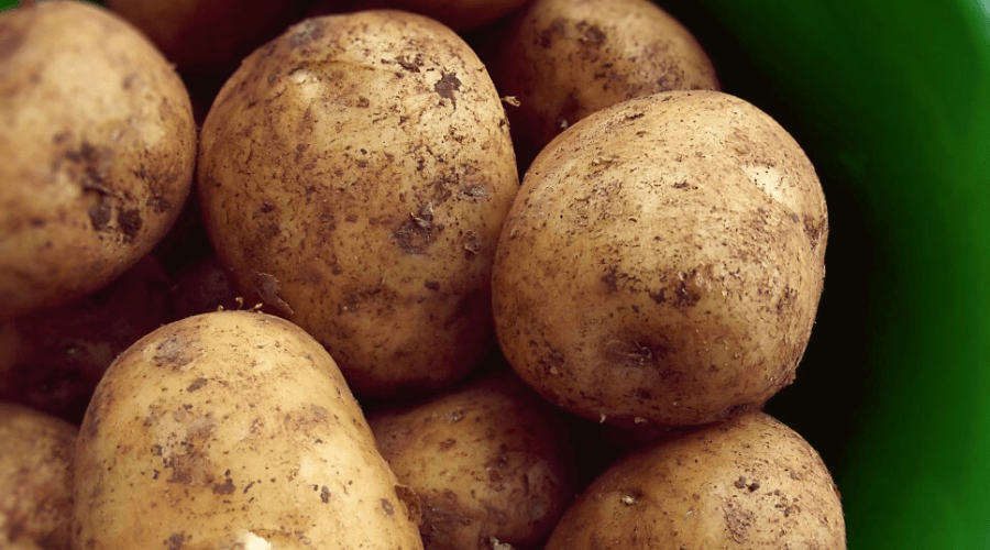 Perfect Potatoes: How to Plant, Grow, and Harvest at Home