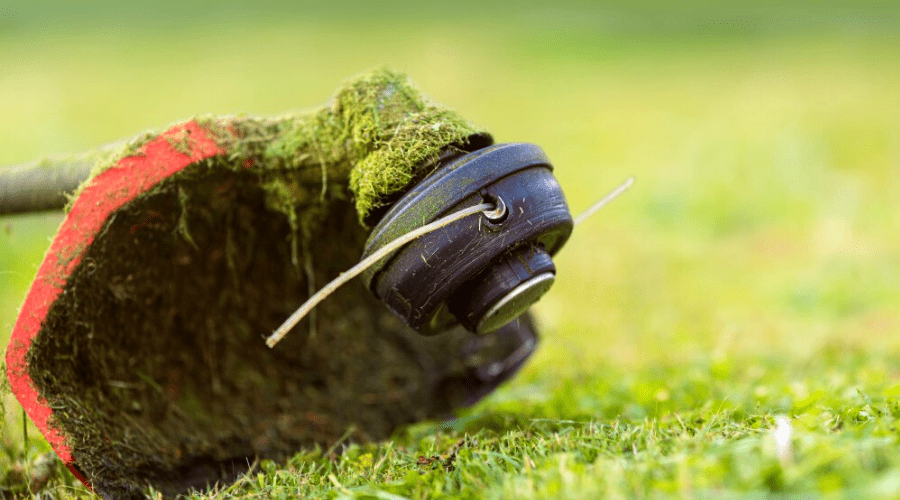 The Best Edge Trimmers – 2021 Reviews and Buying Guide