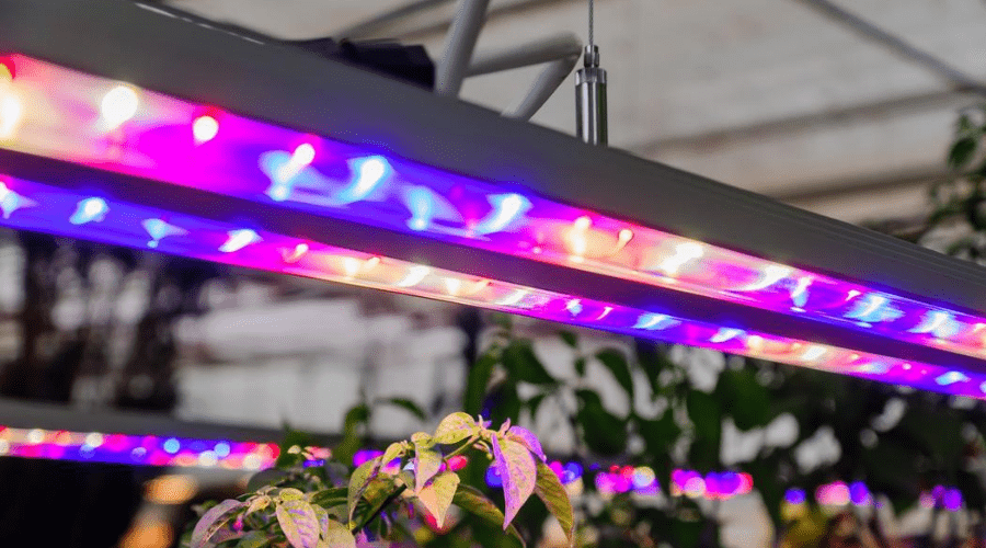 Best LED Grow Light Reviews 2019