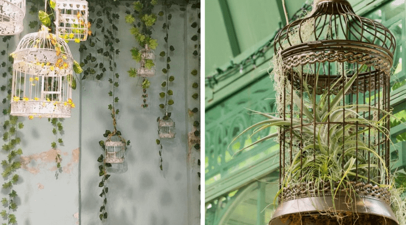 20 Fun and Interesting Ways to Display Your Houseplants