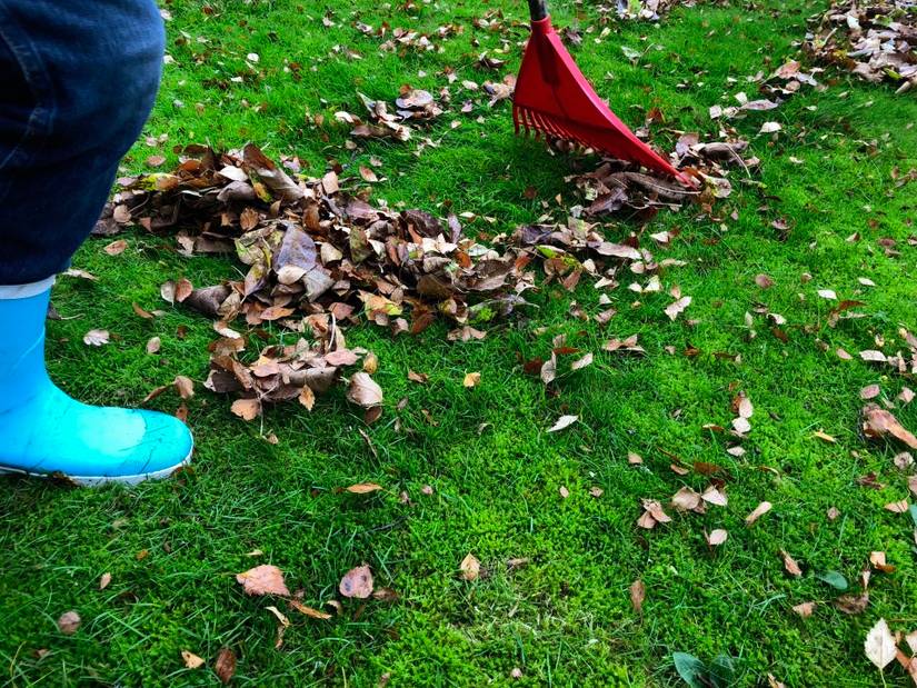 Leaf Raking Hacks