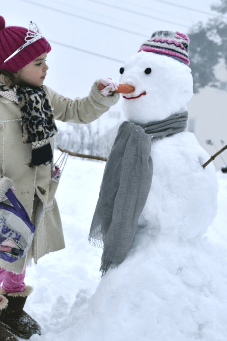 Build Your Own Frosty: The Very Best Snowman Kits for 2020