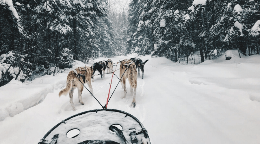 Different Types of Snow Sleds and Which One to Pick