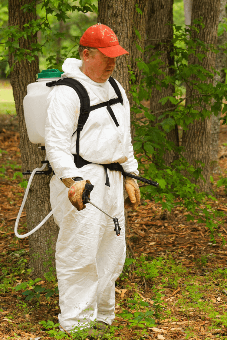 Best Backpack Sprayers: How They Work & What to Buy