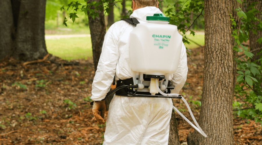 Best Backpack Sprayers: How They Work & What to Buy