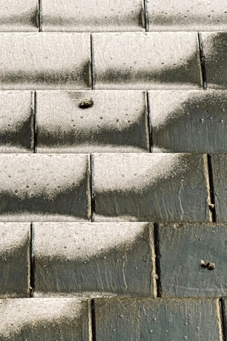 Best Roof Melt to Get Rid of Snow and Ice in 2021