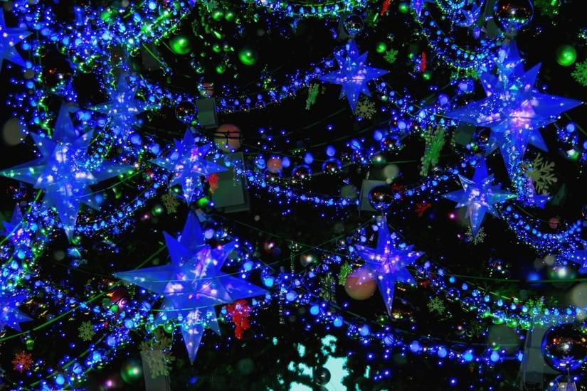 10 of the Best Blue Christmas Tree Ideas for 2021