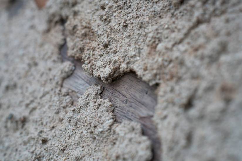 Termites in Firewood: How to Spot Them & What to Do