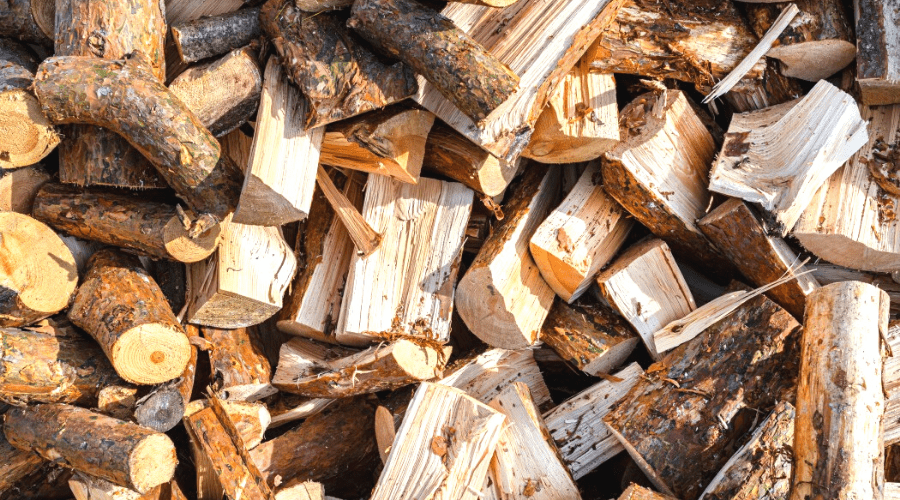 Is Pine Good Firewood? A Guide to Burning Pinewood
