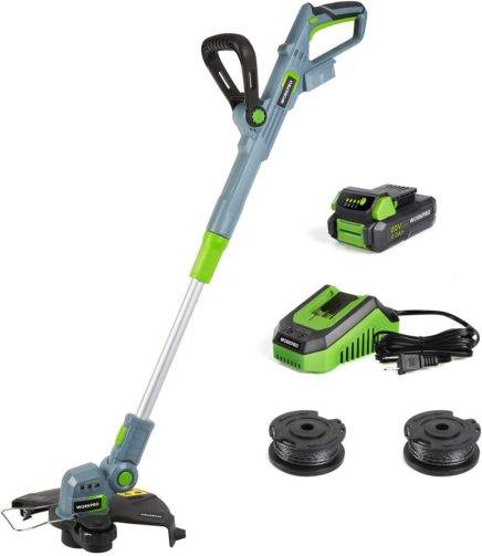 The Best Edge Trimmers – 2021 Reviews and Buying Guide
