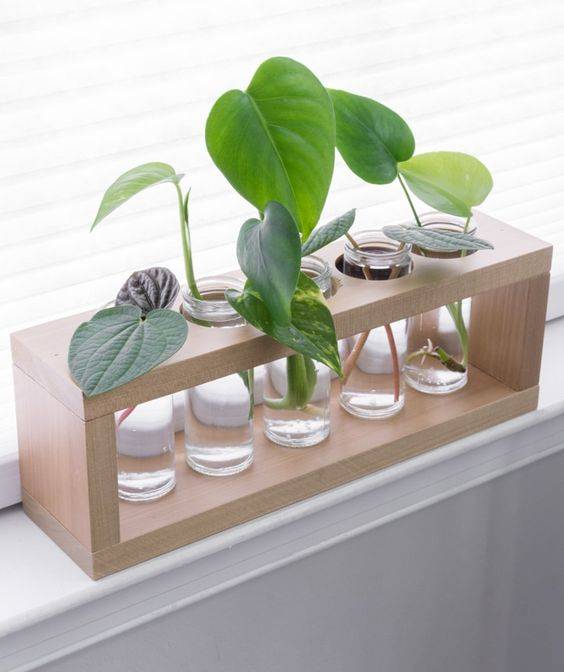17 Amazing Propagation Station Ideas