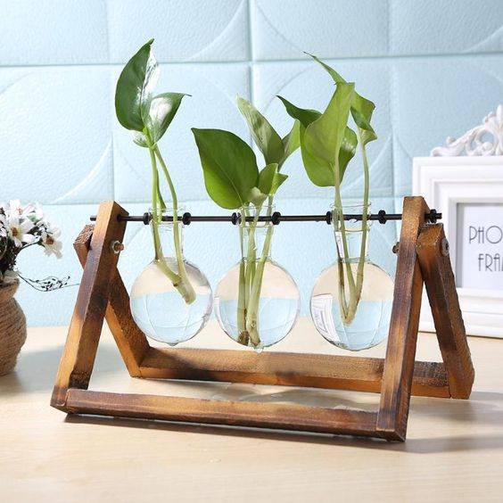17 Amazing Propagation Station Ideas