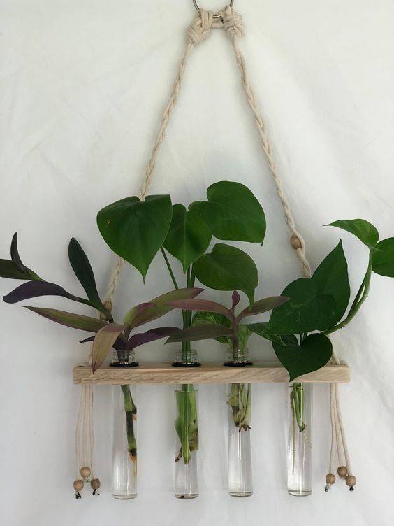 17 Amazing Propagation Station Ideas