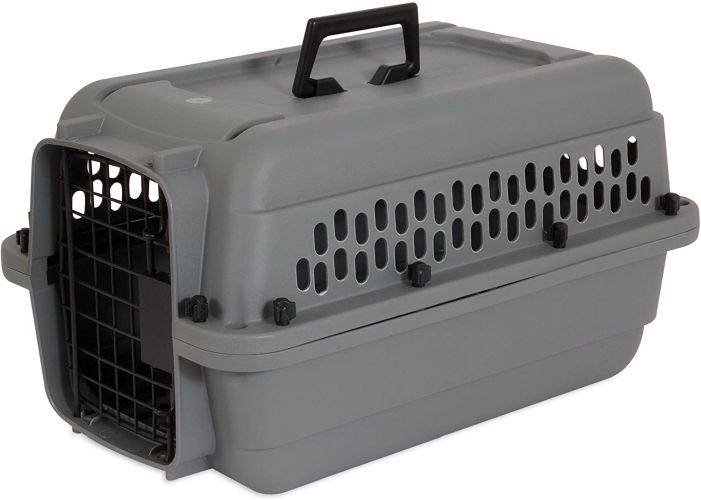 35 Outdoor Dog Kennel Ideas