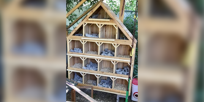 65 Amazing Chicken Coop Nesting Box Ideas