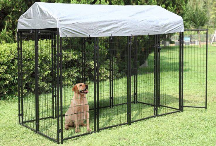 35 Outdoor Dog Kennel Ideas