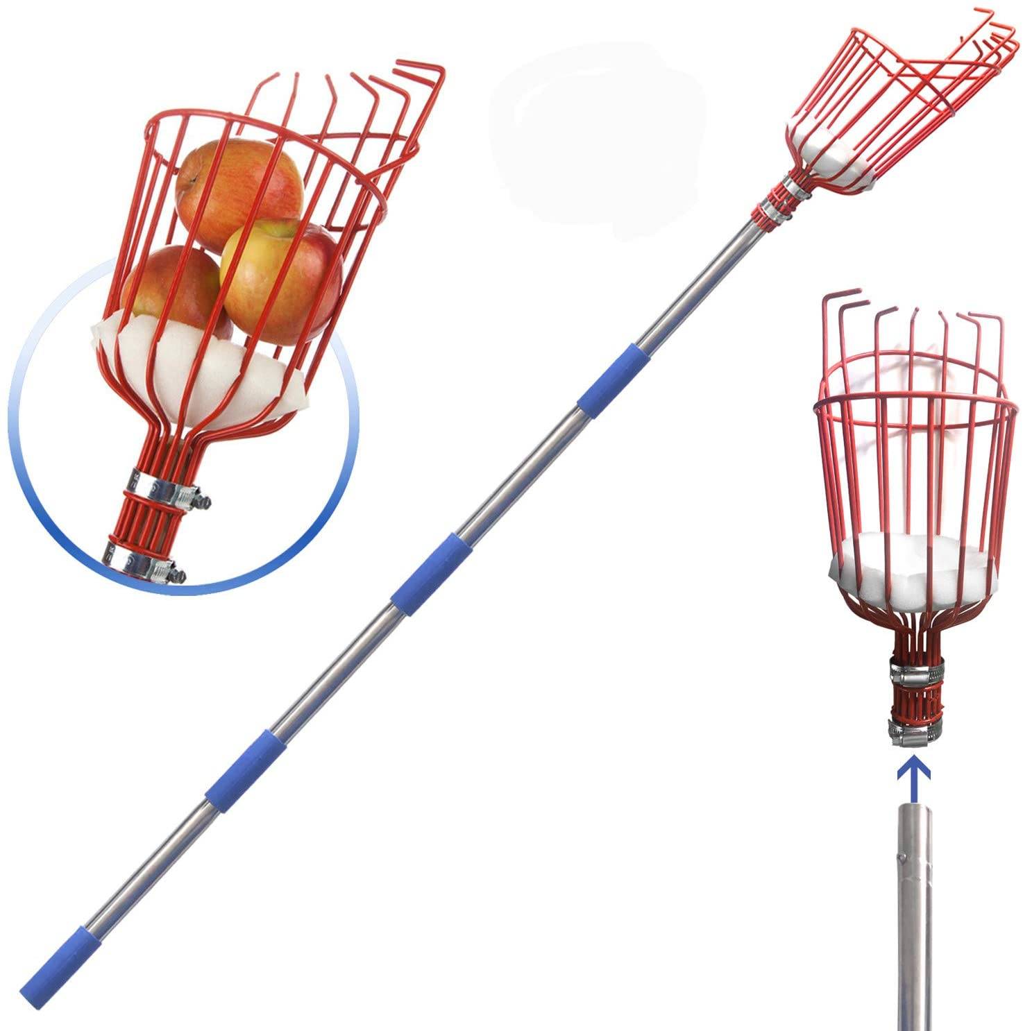 The Best Fruit Picker Tools to Pick Your Trees and Bushes Clean