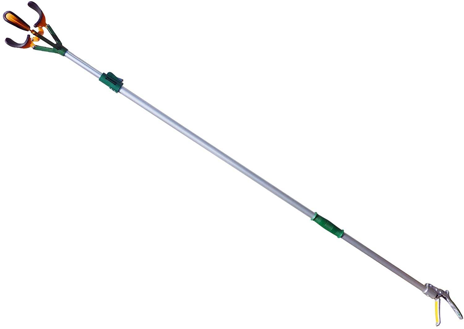 The Best Fruit Picker Tools to Pick Your Trees and Bushes Clean