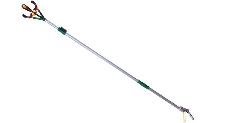 The Best Fruit Picker Tools to Pick Your Trees and Bushes Clean