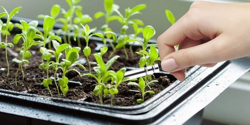 The Best Heat Mat to Grow Your Plants Faster