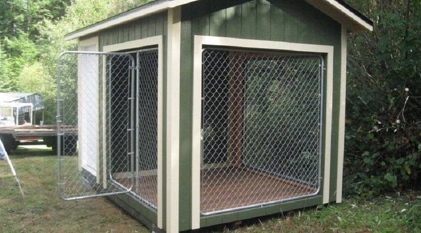 21 Dog Fence Ideas for Your Yard