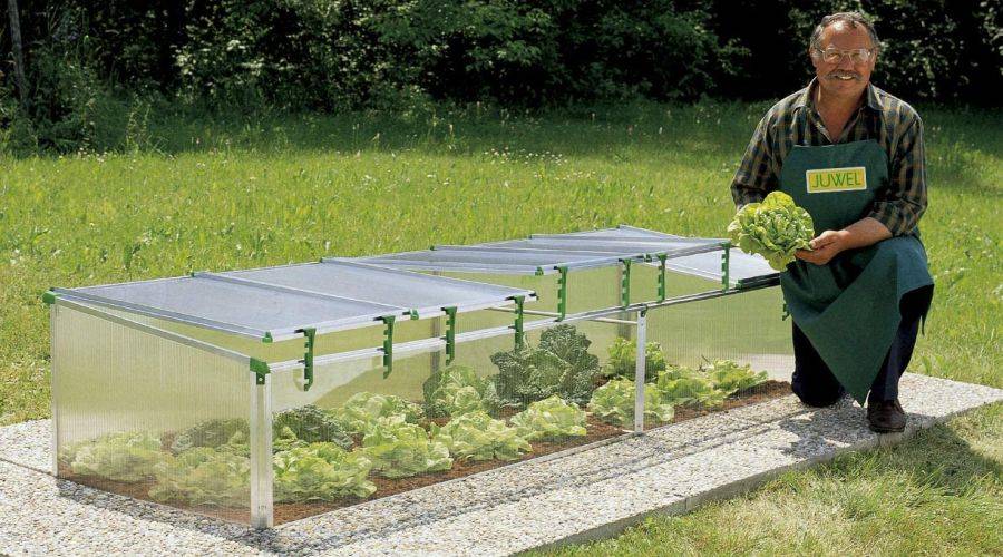 The Best Cold Frame for Your Vegetables