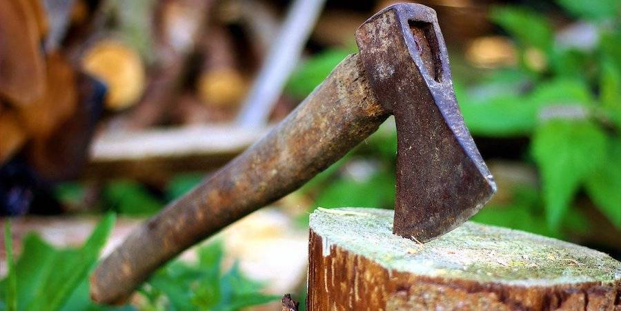 10 Types of Axes and Hatchets